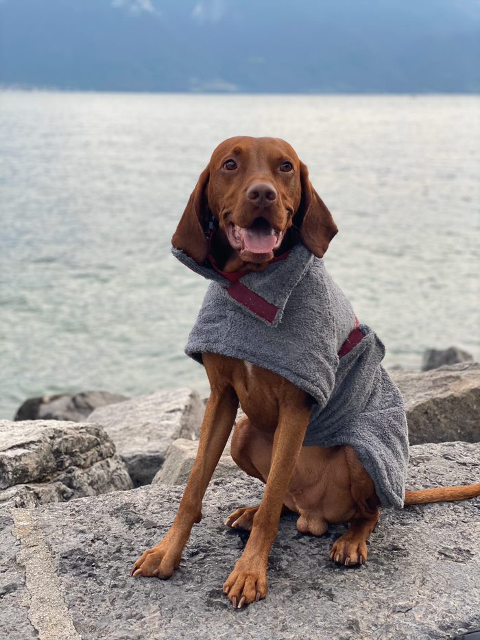 ‘Tilly’ Drying Coat - Dudley & co